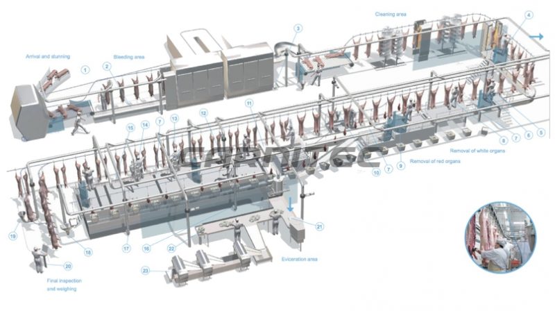 Pig_slaughter - Carnitec